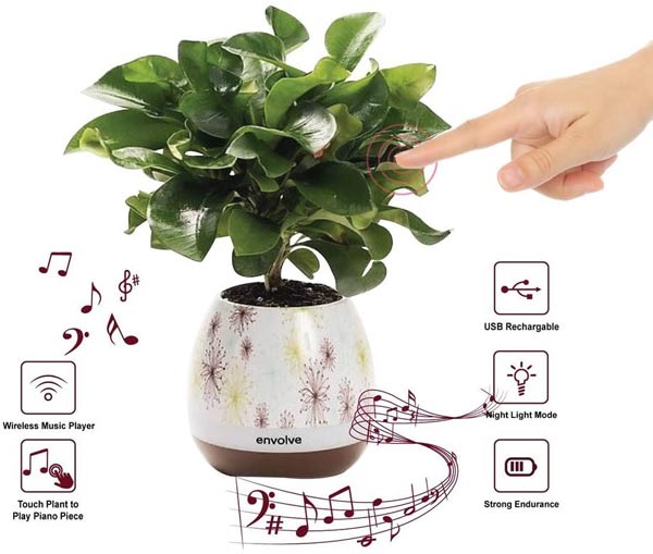 3 Best Music Playing Smart Flower Pot | Life Falcon