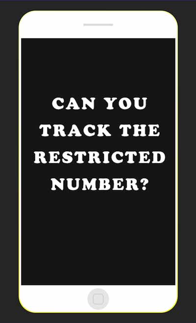 How to find a Restricted Number ? All you need to Know